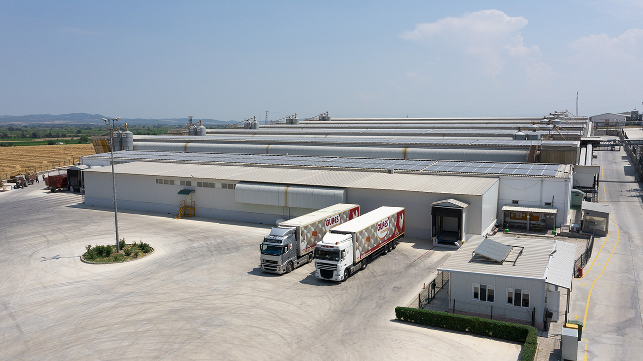 Güres Group - Güres Tavukçuluk
